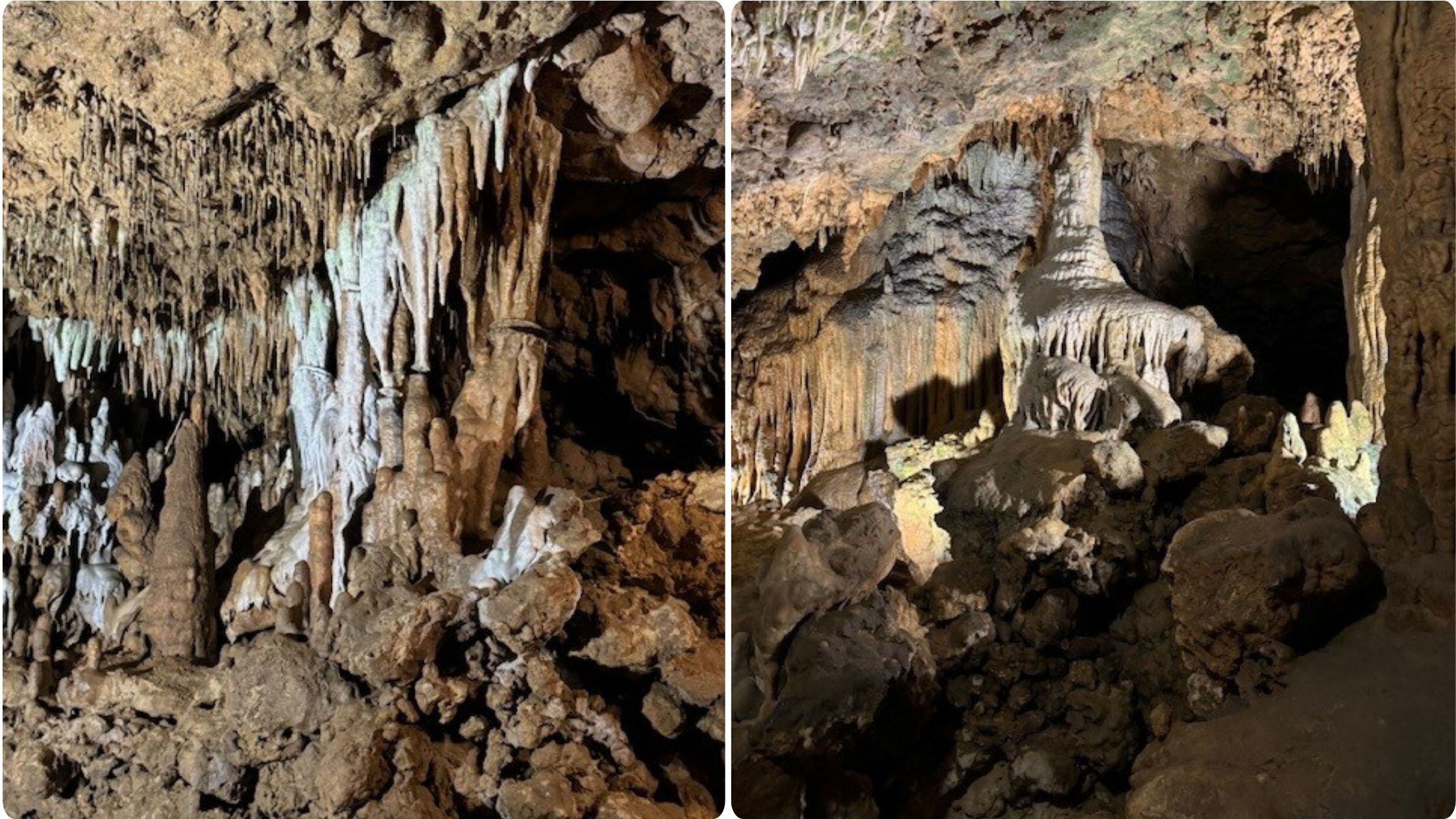 Explore Florida Caverns State Park